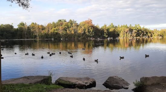 Lake View Nature Preserve at 100 Main St #120 reviews in Ayr, Ontario
