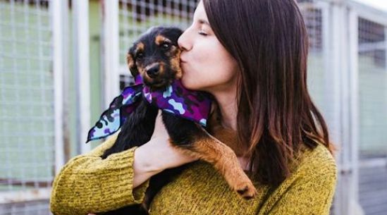 The 10 Best Pet Stores in Chetwynd, British Columbia reviews