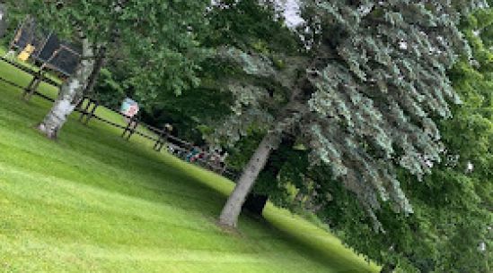 Herbe en herbe Lawn Care Service at 4409 Rue Mathy reviews in ...