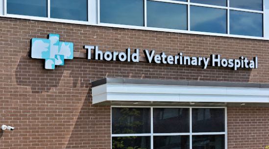 The 10 Best Pet Supply Stores in Thorold, Ontario reviews