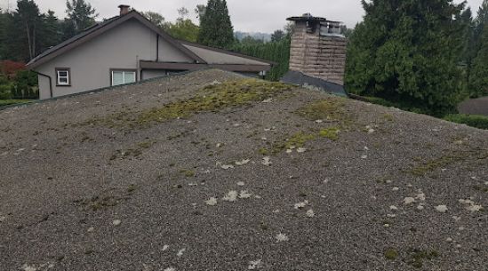 Flow 'N Steady Power Washing at Langley reviews in Langley, British ...